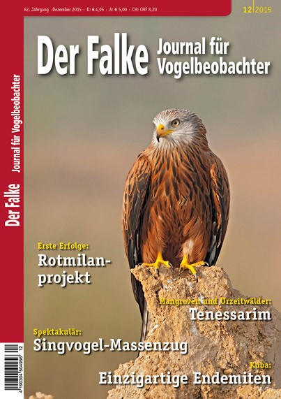 Der Falke 12/2015 - Der Falke