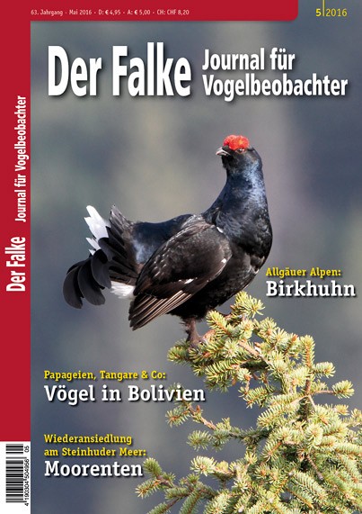 Der Falke 5/2016 - Der Falke