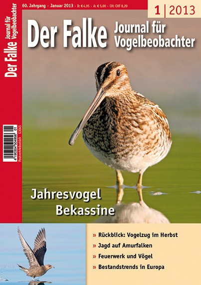 Der Falke 1/2013 - Der Falke